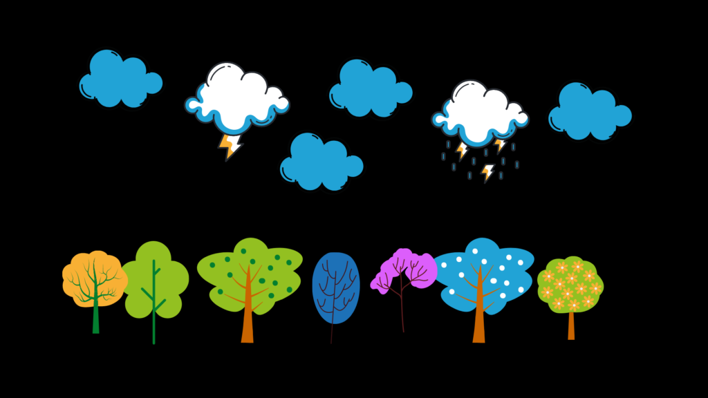 Weather Permitting Test | NC Science Olympiad