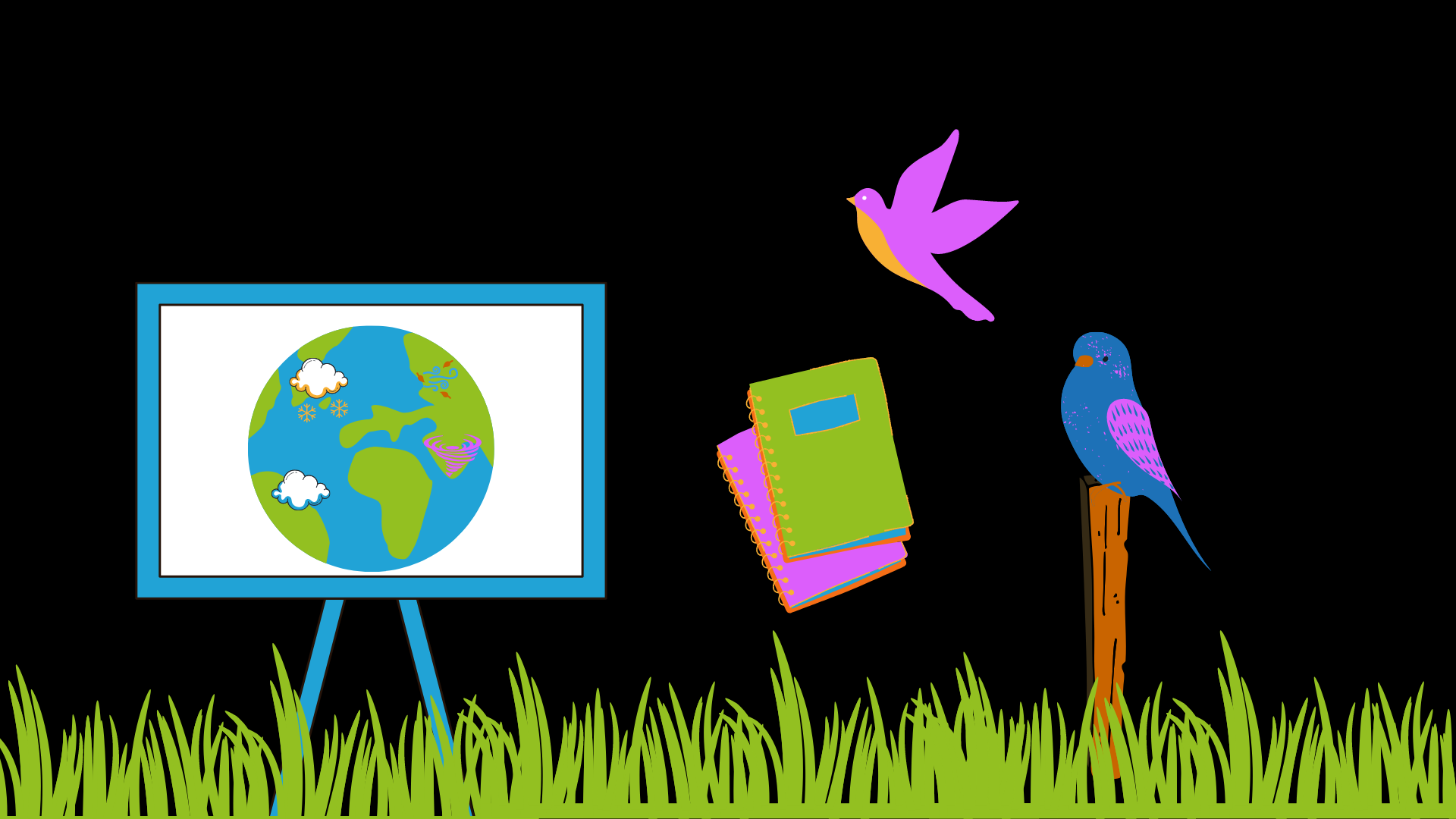 Weather Permitting 2022 | NC Science Olympiad